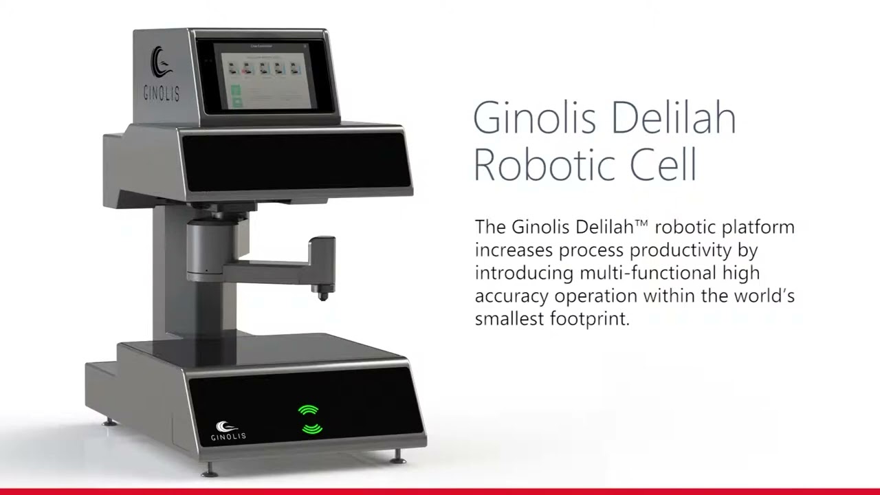 Delilah Quality Control Inspection | Ginolis